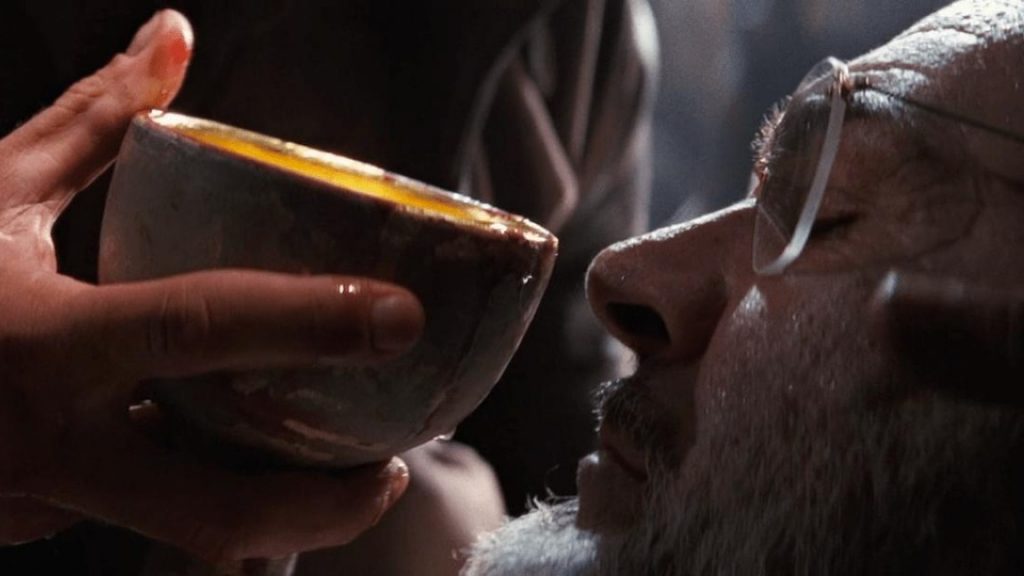 Indiana Jones e l'Ultima Crociata: Spielberg e il ritorno alle origini ...