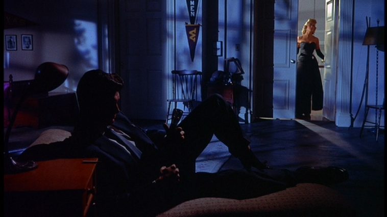 Come le foglie al vento: Rock Hudson, Douglas Sirk, l'amore di Fassbinder