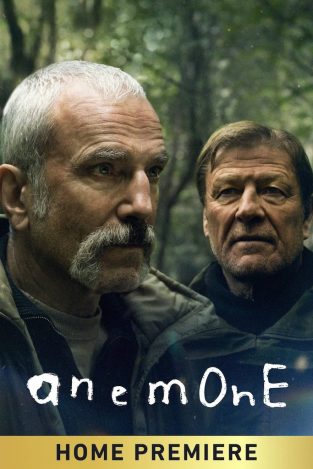 Anemone – The HotCorn