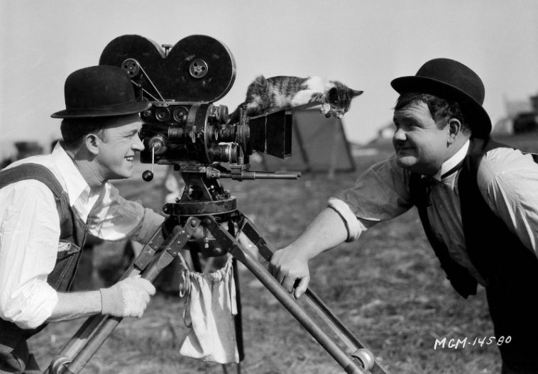 Stan and Ollie - The singular and comical life of Stan Laurel